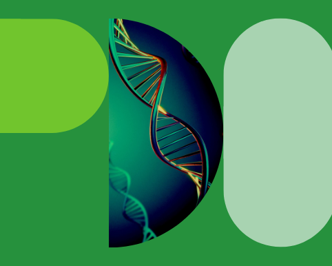 Reflecting on my bioinformatics internship | Genomics England