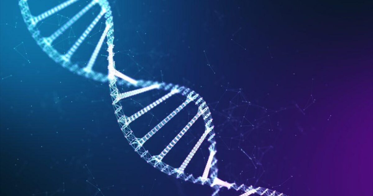 Twenty years on from sequencing the first genome