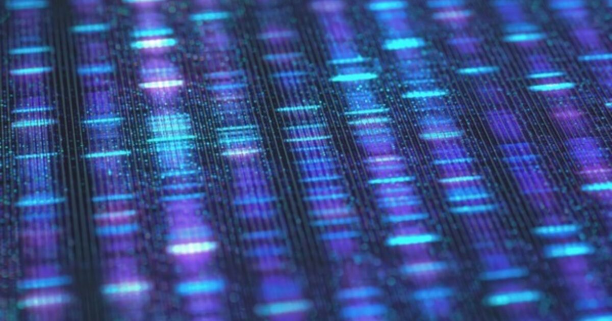 New insights into how common DNA differences contribute to rare…